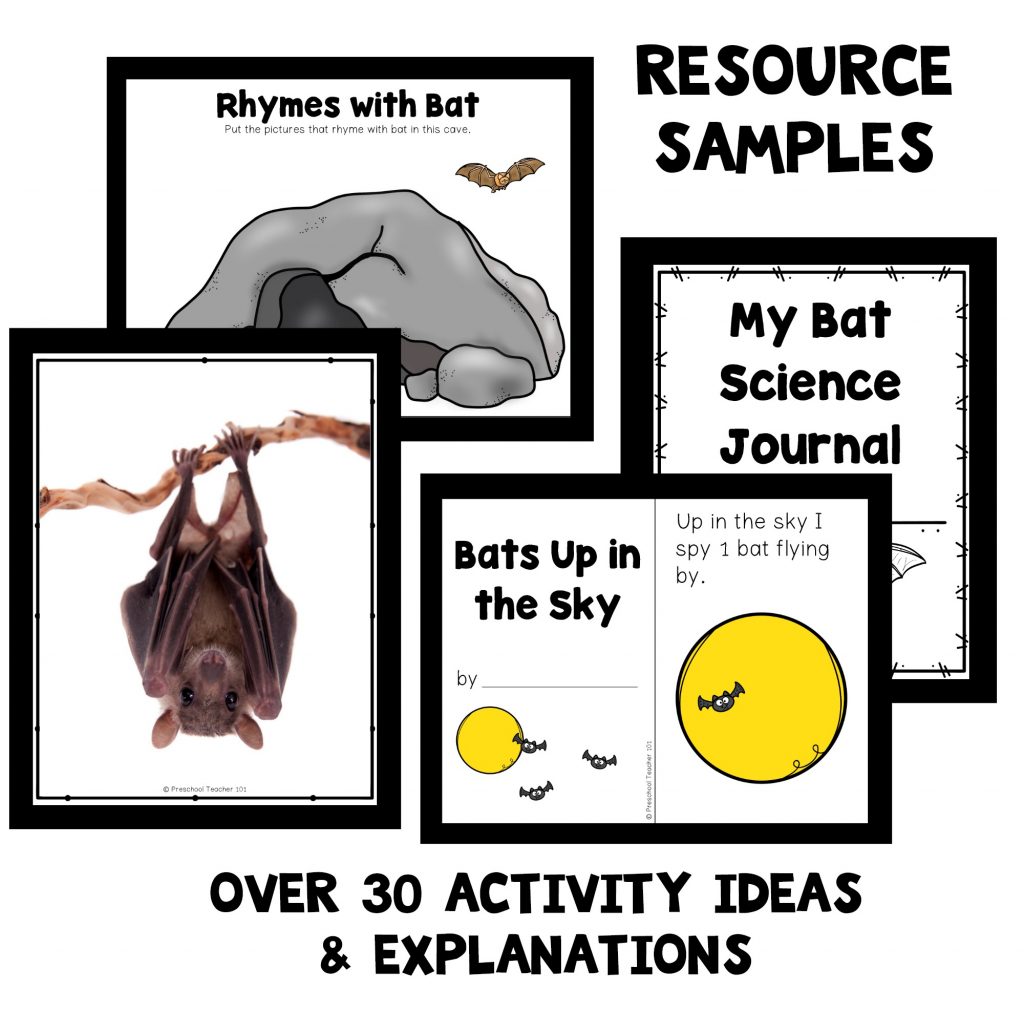 Bat Theme Preschool Classroom Lesson Plans - Preschool Teacher 101
