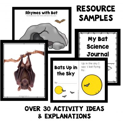 Bat Theme Preschool Classroom Lesson Plans - Preschool Teacher 101