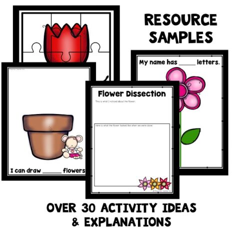 Chrysanthemum Preschool Classroom Lesson Plans
