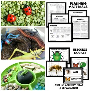 Insects Theme Preschool Classroom Lesson Plans - Preschool Teacher 101
