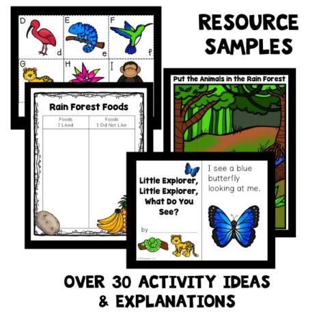 Rain Forest Theme Preschool Classroom Lesson Plans - Preschool Teacher 101