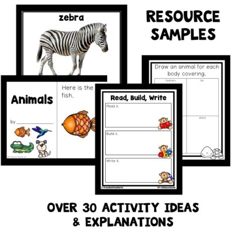 Animal Theme Preschool Classroom Lesson Plans - Preschool Teacher 101