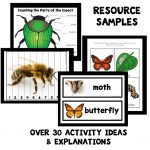 Insects Theme Preschool Classroom Lesson Plans - Preschool Teacher 101
