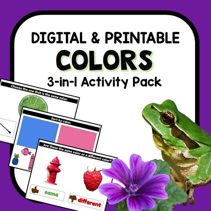 4-in-1 Beginning Sounds Digital Activities Bundle - Preschool Teacher 101