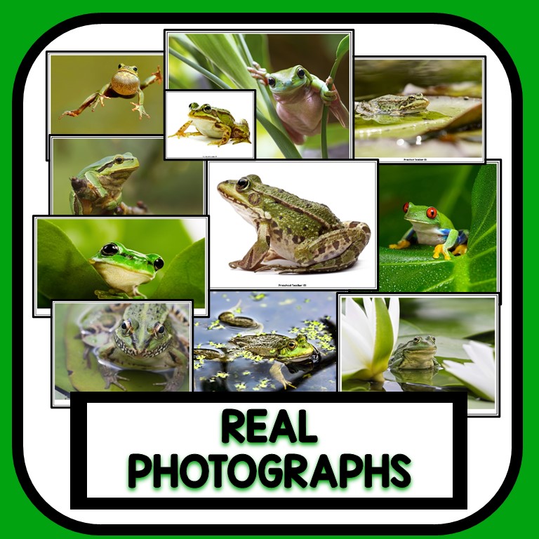 5 Green and Speckled Frogs Lesson Plans - Preschool Teacher 101