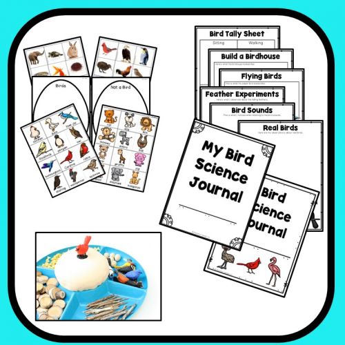 Bird Theme Preschool Classroom Lesson Plans - Preschool Teacher 101