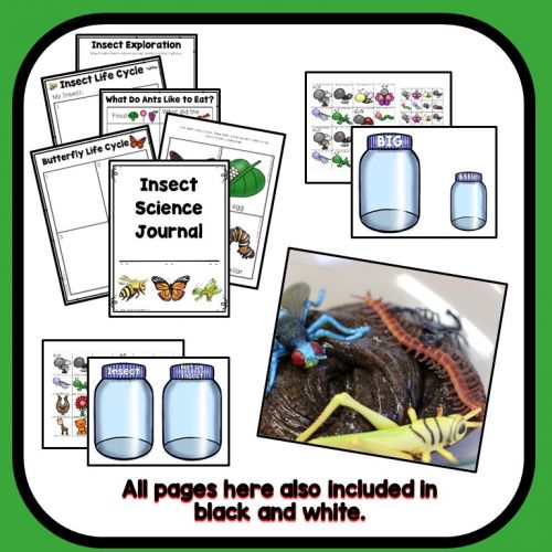 Insects Theme Preschool Classroom Lesson Plans - Preschool Teacher 101