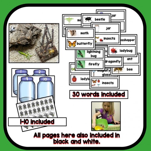 Insects Theme Preschool Classroom Lesson Plans - Preschool Teacher 101