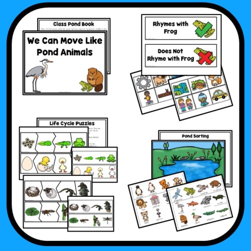 Pond Theme Lesson Plans - Preschool Teacher 101