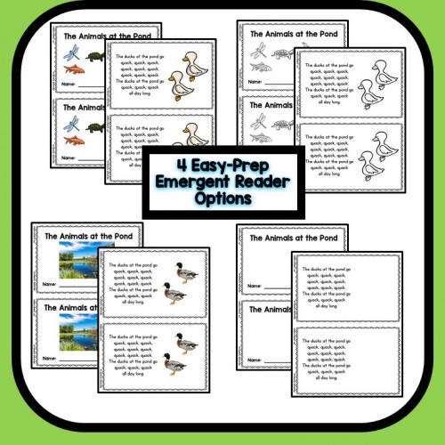 Animals at the Pond Preschool Circle Time Song and Activities ...