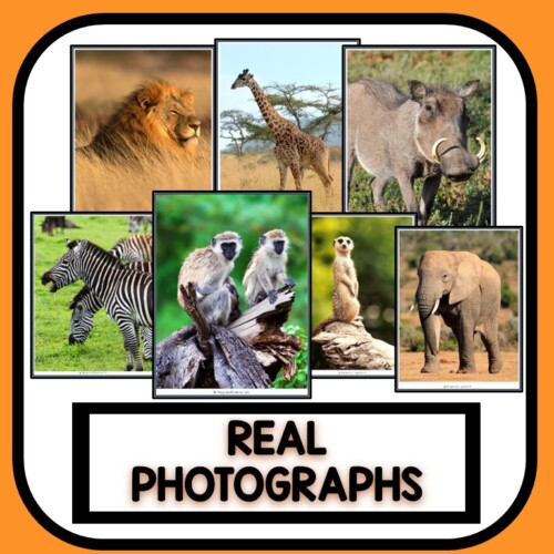 Africa Theme Preschool Classroom Lesson Plans - Preschool Teacher 101